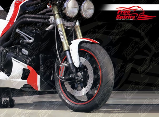 Free Spirits Front Axle Protector/Sliders 2005-2010 Triumph Speed ...