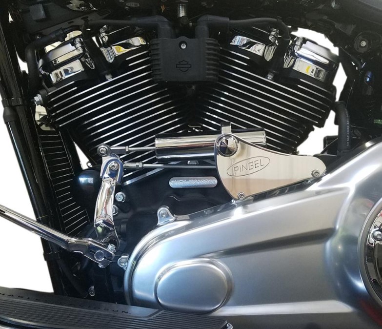 Pingel Silver Electric Speed Shifter Kit For 2018-2020 Softail Breakout ...